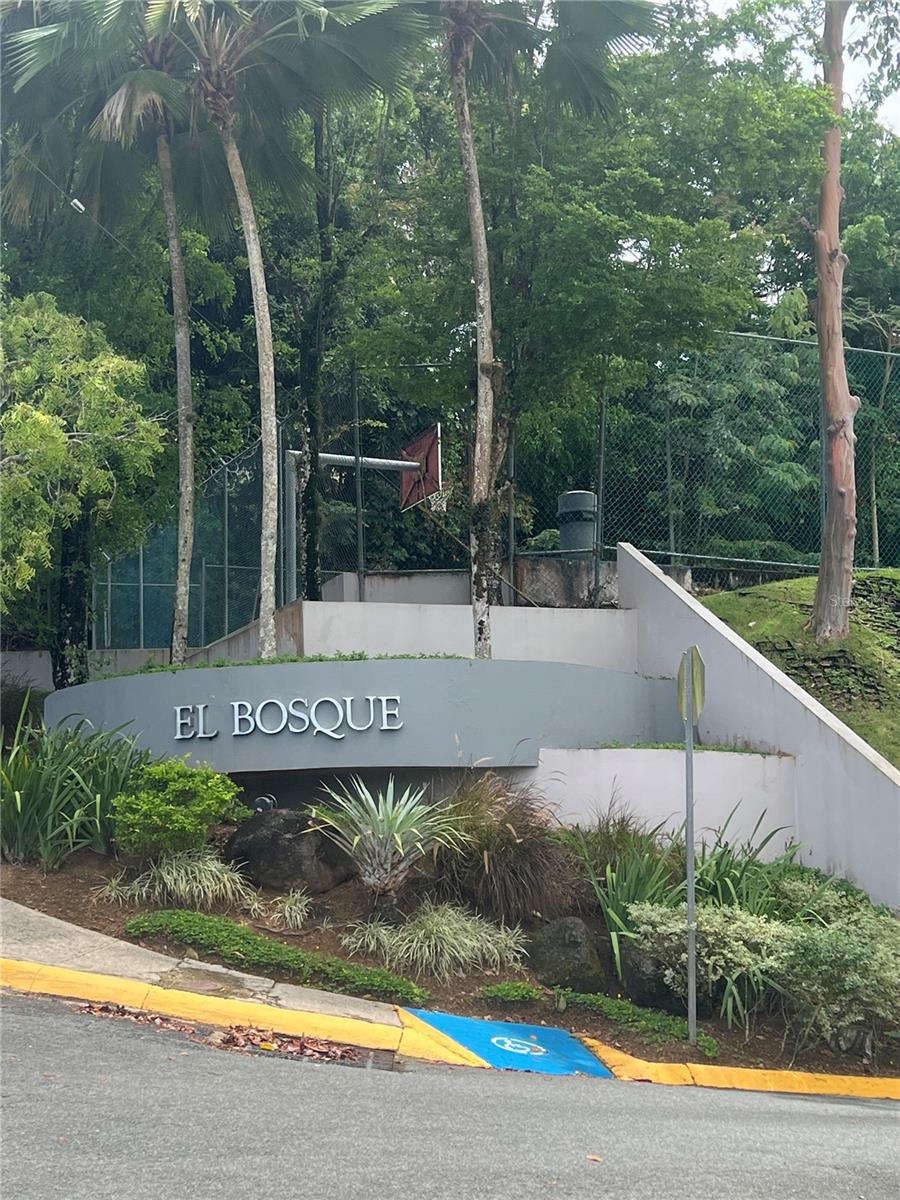 EL BOSQUE